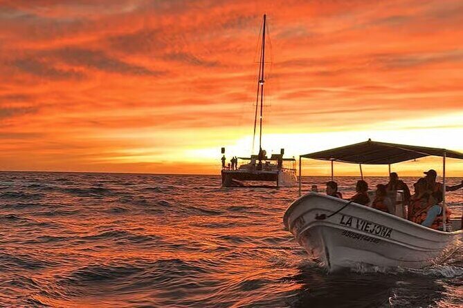 Los Cabos Sunset Boat Tour - Who Is This Tour Best For?