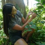 Love the Land Indigenous Walking Tour Capilano River Hatchery - What Travelers Are Saying