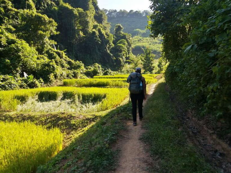 Luang Prabang: 3-Day Cultural Remote Trek With Homestay - Practicalities & Value