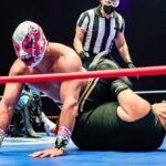 Lucha Libre, Pulque and Tacos Tour in Mexico City - Who Should Consider This Tour?