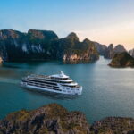 Luna Cruise Halong Bay: Best Luxury Day Tour from Hanoi - What Travelers Say and What to Expect