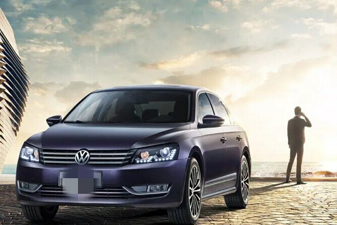 Luoyang private car for Longmen Grottoes and Shaolin temple - Key Points