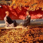 Luoyang Private Day Tour of Shaolin Temple and Longmen Grottoes - The Experience from a Traveler’s Perspective