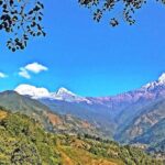 Luwang Village Home Stay Easy Trek with Tea Garden Visit - Who Is This Tour Best For?
