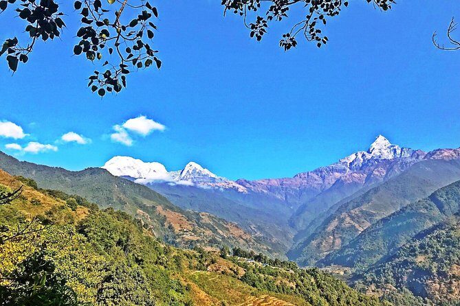 Luwang Village Home Stay Easy Trek with Tea Garden Visit - Who Is This Tour Best For?