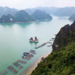 Luxury 5* Halong Bay 1 Day 8 hours cruising and Limousine - What We Appreciate About the Experience