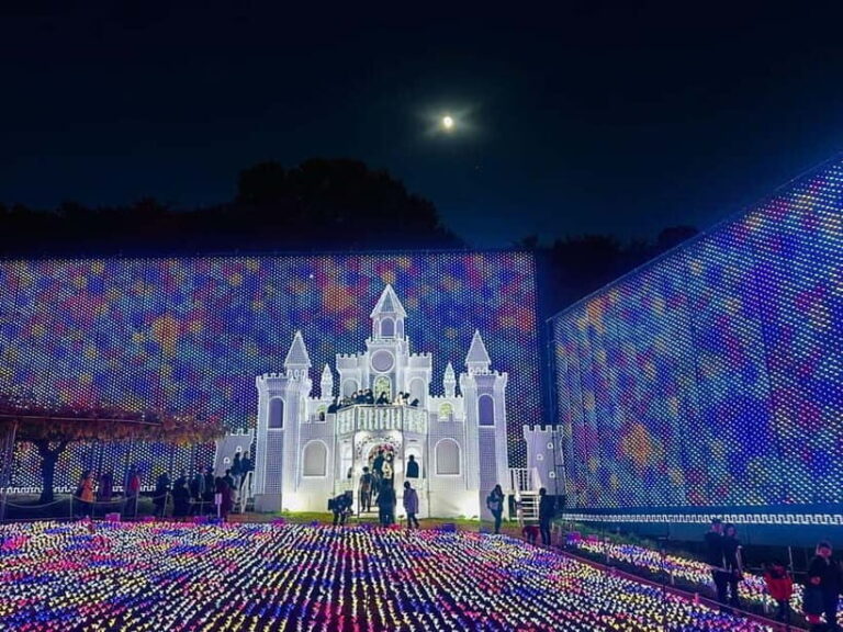 Luxury Ashikaga Flowers Park Tour With Pickup & Drop off - Who Should Consider This Tour?