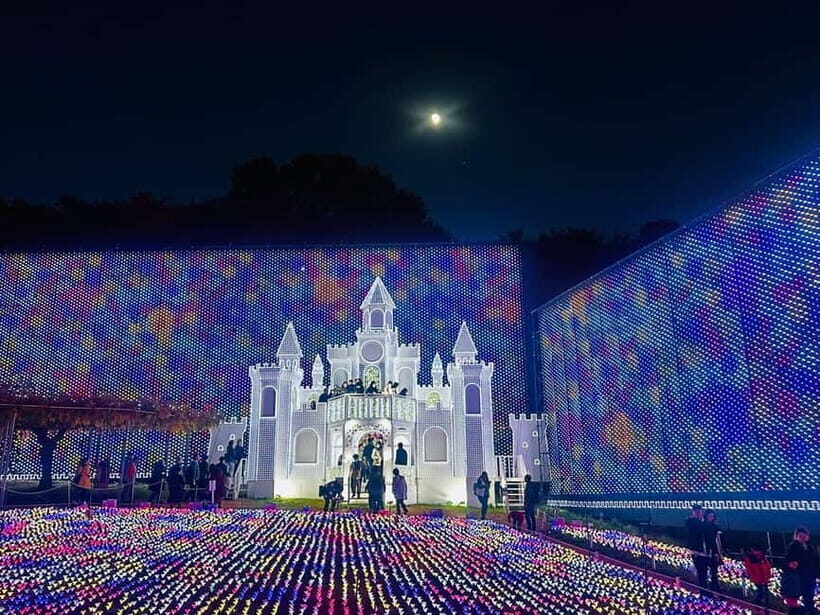 Luxury Ashikaga Flowers Park Tour With Pickup & Drop off - Who Should Consider This Tour?