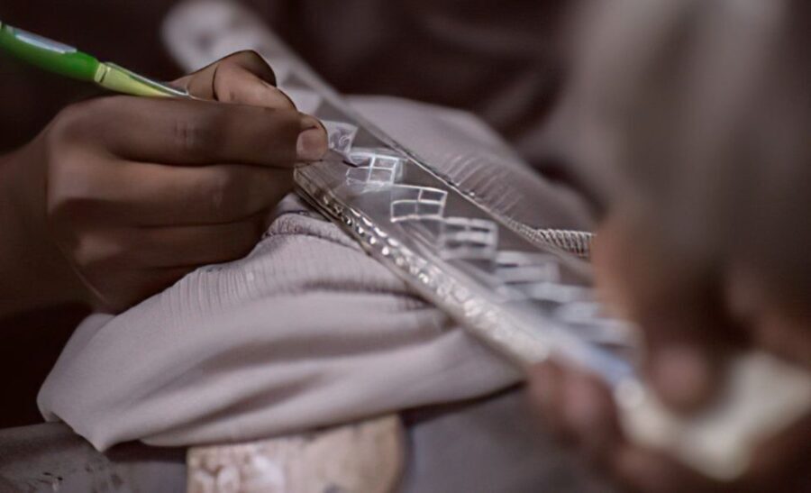 Luxury Boat ride, Havelis, Heritage Walk & High Tea - A Detailed Look at the Experience