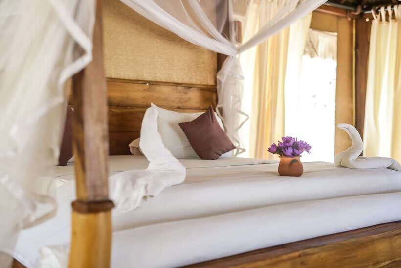 Luxury Camping and Safari Experience in Yala Park - What’s Included and What’s Not