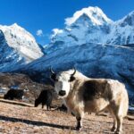 Luxury Everest Base Camp Trek -11 Days - The Itinerary: A Day-by-Day Breakdown