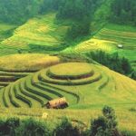 Luxury Ha Giang 3 days from Hanoi - Day 3: Ma Pi Leng Pass and Beyond