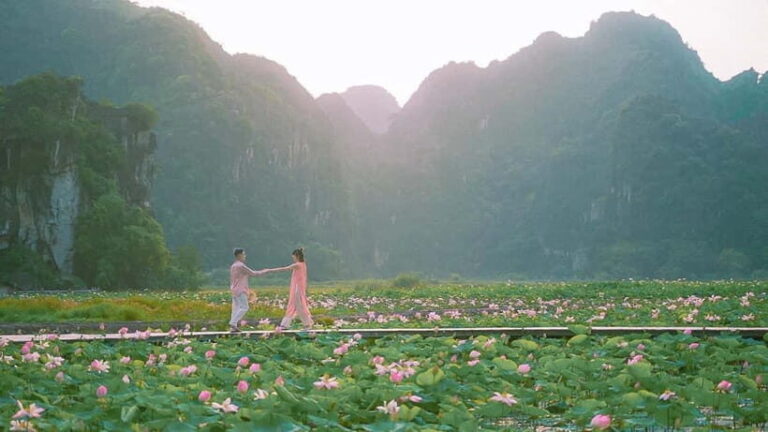 Luxury Limousine Tour: Hoa Lu, Trang An/Tam Coc & Mua Cave