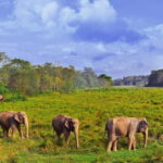 Luxury Nepal Tour: Kathmandu, Chitwan & Pokhara- Private Car - Who Should Consider This Tour?