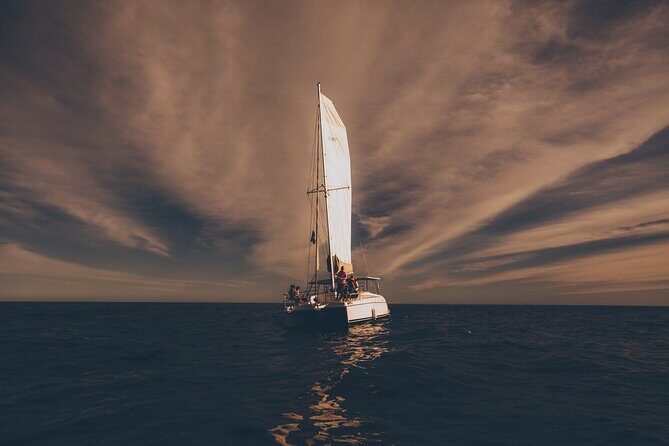 Luxury Sailing Whale Watch and The Arch (Dec 15 - Apr 15) - Discovering Cabos Sea of Cortez in Style