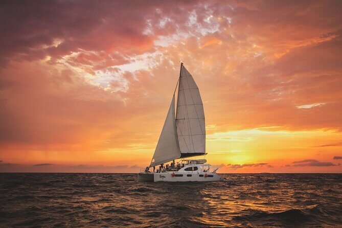 Luxury Sunset Cruise from Riviera Maya - Transportation and Logistics