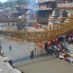 Luxury World Heritage Sightseeing Tour - Who is This Tour Best Suited For?