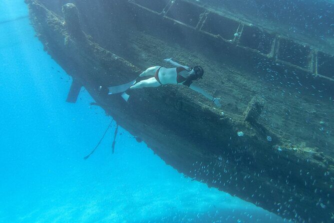 Maafushi: Ship wreck & Nurse shark snorkeling with Dolphin watching - Who is This Tour Best For?