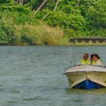 Madu River Safari at Balapitiya - Authentic Traveler Insights