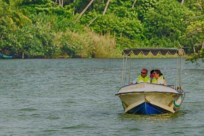 Madu River Safari at Balapitiya - Authentic Traveler Insights
