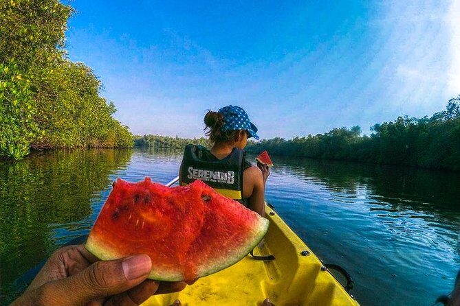 Madu River Sunrise Mangrove Kayaking from Colombo - A Deep Dive into the Experience