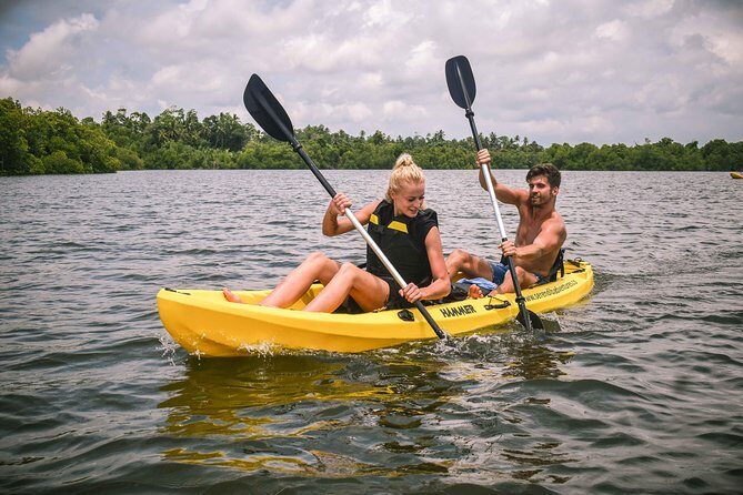Madu River Sunrise Mangrove Kayaking - What to Expect: A Step-by-Step Look at the Tour