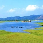 Maduru Oya National Park Private Safari with Naturalist - The Itinerary in Detail