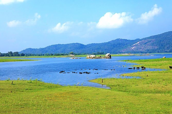 Maduru Oya National Park Private Safari with Naturalist - The Itinerary in Detail