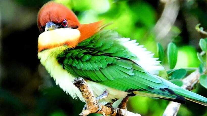 Maduru Oya National Park Private Safari - Analyzing the Value