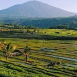 Magical Full Day Trip Jatiluwih Rice Terrace And Beratan Temple - What We Loved About the Tour