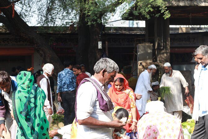 Magical Walk of Jaipur - Highlights of the Tour