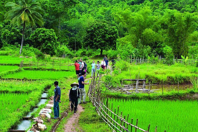 Mai Chau 2 days 1 night visiting, biking Buoc village depart from Hanoi Center - Key Points