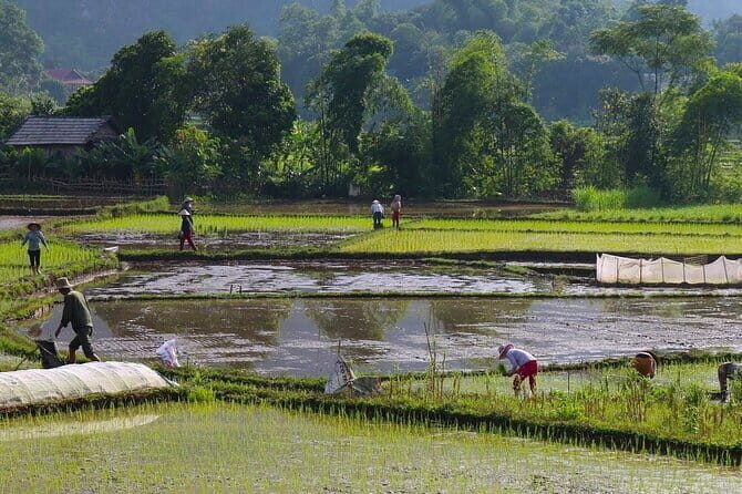 Mai Chau Day Trip: Explore the Beauty of Rural Villages by Bike - Possible Drawbacks to Consider