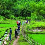 Mai Chau Getaway 1 Day from Hanoi - Small Group - Limousine bus - How This Tour Offers Great Value