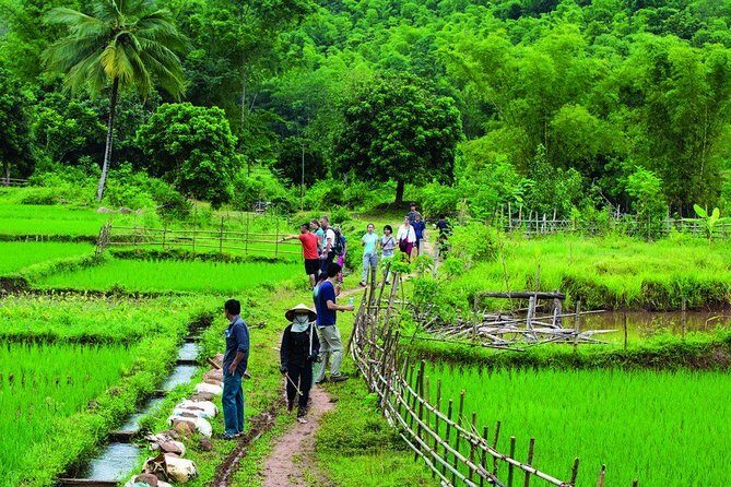 Mai Chau Getaway 1 Day from Hanoi - Small Group - Limousine bus - How This Tour Offers Great Value