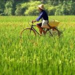 Mai Chau Nature village 2days trip - Why Consider This Tour?