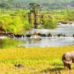 Mai Chau Pu Luong 2 Days 1 Night from Hanoi - The Practicalities: What You Need to Know