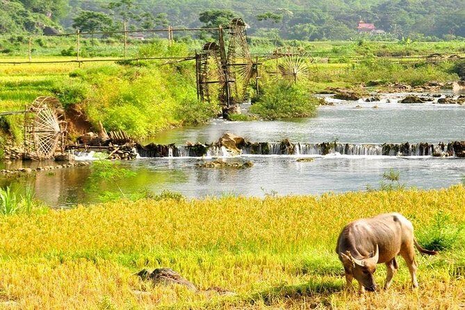 Mai Chau Pu Luong 2 Days 1 Night from Hanoi - The Practicalities: What You Need to Know