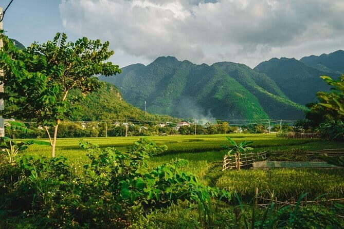 Mai Chau Valley Break Day Trip from Hanoi Old Quarter - Who Should Consider This Tour?
