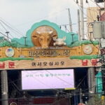 Majang Meat Market Experience: Private Tour with BBQ & Pub Add-On - Practical Details and Tips