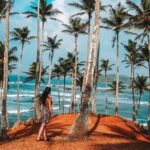 Majestic Mammals Of Sri Lanka: Whale & Elephant Safari Tour - Final thoughts: