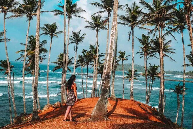 Majestic Mammals Of Sri Lanka: Whale & Elephant Safari Tour - Final thoughts: