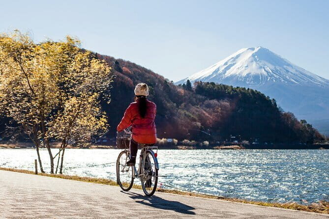 Majestic Mount Fuji: Exclusive Private Day Tour - What Makes This Tour Stand Out?