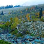 Majestic Sonamarg: A Day Trip to the Meadow of Gold from Srinagar - Lunch and Optional Activities: Making the Most of the Afternoon