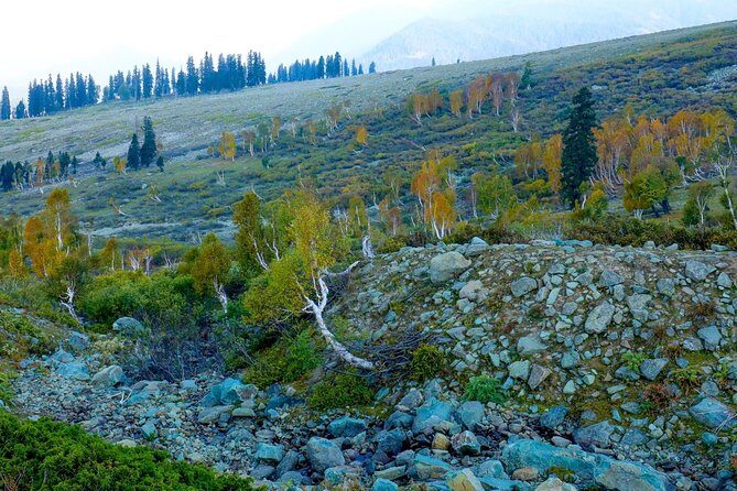 Majestic Sonamarg: A Day Trip to the Meadow of Gold from Srinagar - Lunch and Optional Activities: Making the Most of the Afternoon