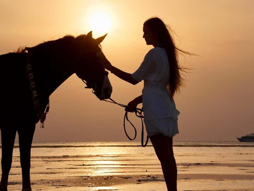 Makadi Bay: Horse Riding in Desert & Sea w Guide + Transfers - Authenticity and Cultural Connection