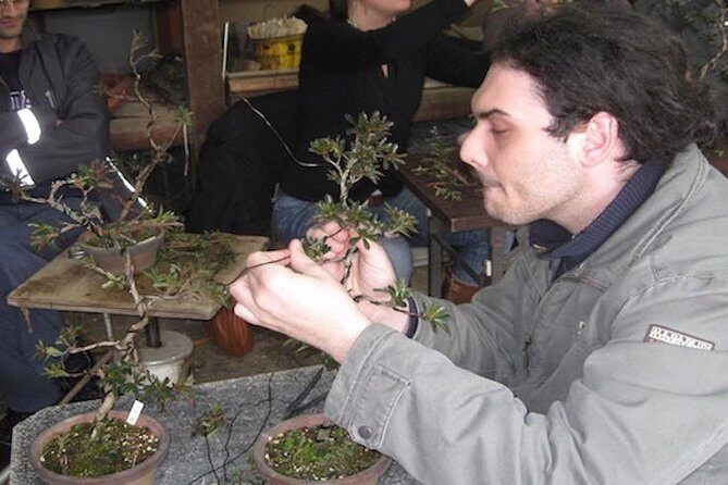 Make your own BONSAI with a professional artist in Tokyo - FAQs about the Bonsai Workshop in Tokyo