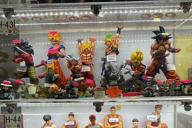 Make Your Own Tokyo Tour with an Experienced/Certifed Guide - The Sum Up: Who Will Appreciate This Tour Most?