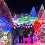 Make Your Trip Around Nami Island With an Expert(DSLR option) - The Real Benefits and What You’ll Love