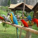 Malacca Zoo & Crocodile Park Tour from Kuala Lumpur with Lunch - Practical Details and Value
